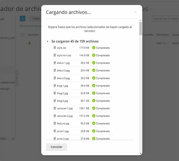 Archivo index.html: qué es y cómo se crea【Pasos】